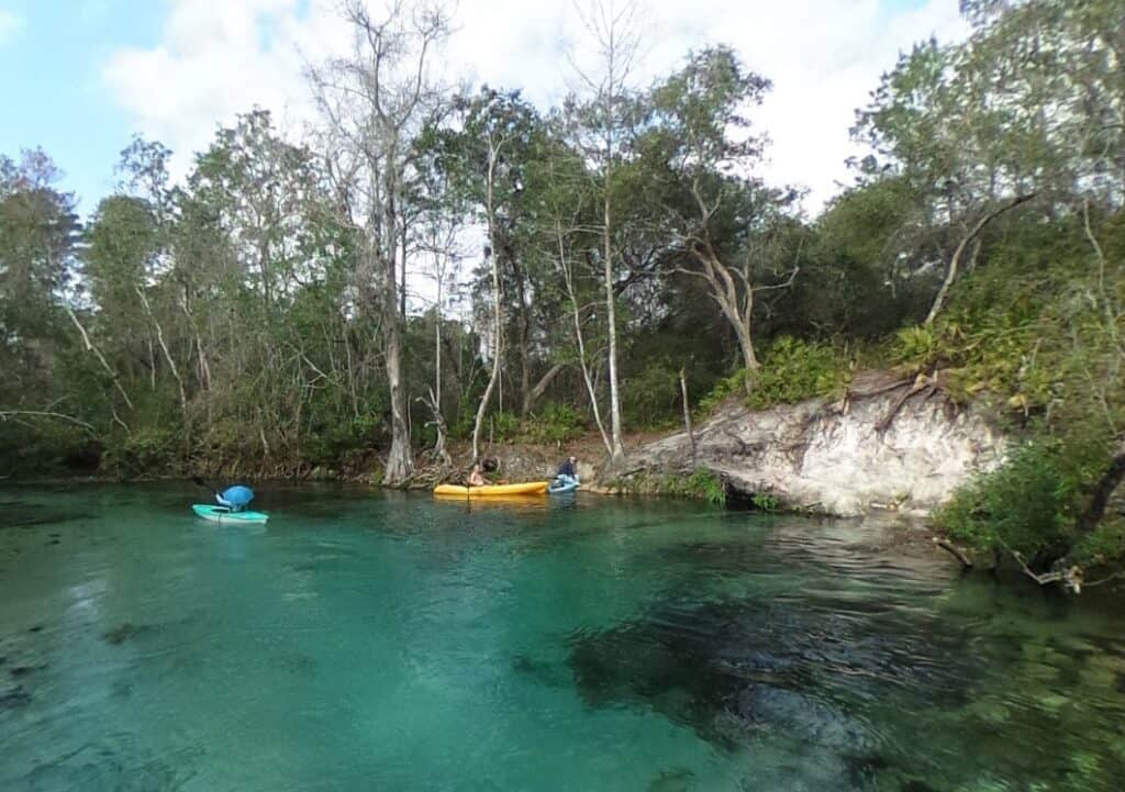 Weeki Wachee Springs State Park – einer der beliebtesten State Parks in ...